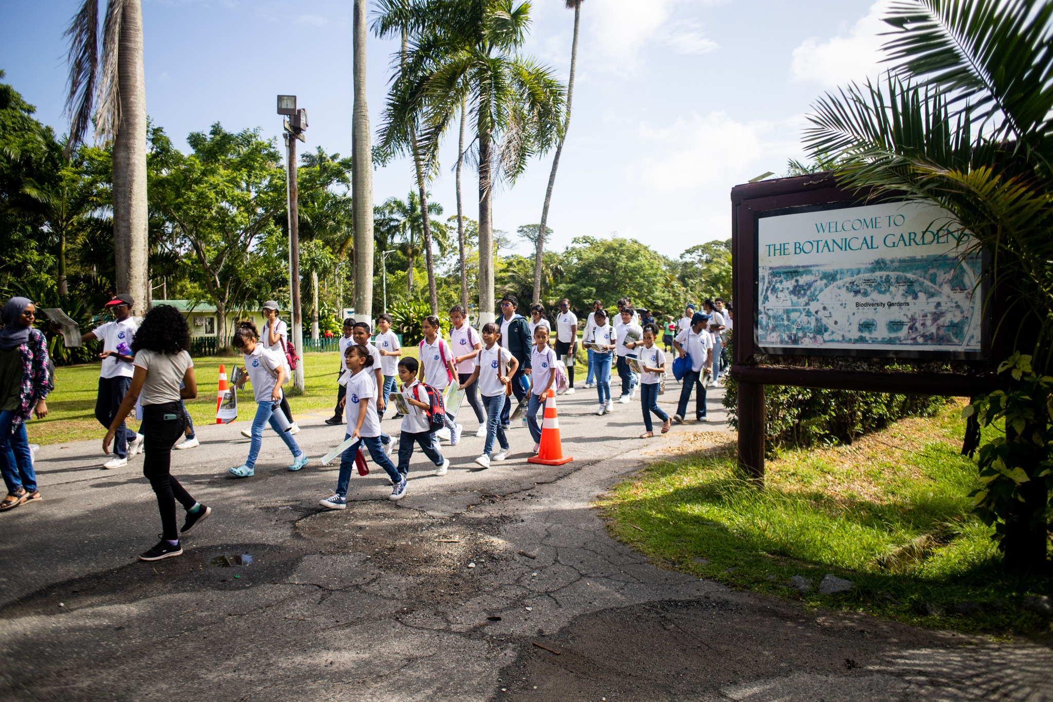 Activities – EMC FOUNDATION