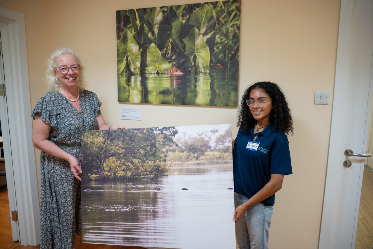 EMC Foundation – #ExperienceConnectAct